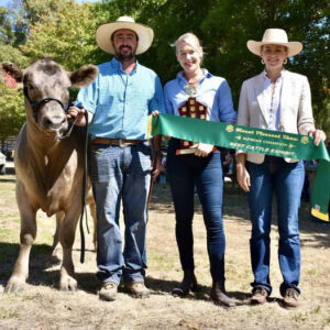 Supreme Exhibit Mount Pleasant Show 2023 - Bottlesford Murray Greys Angus